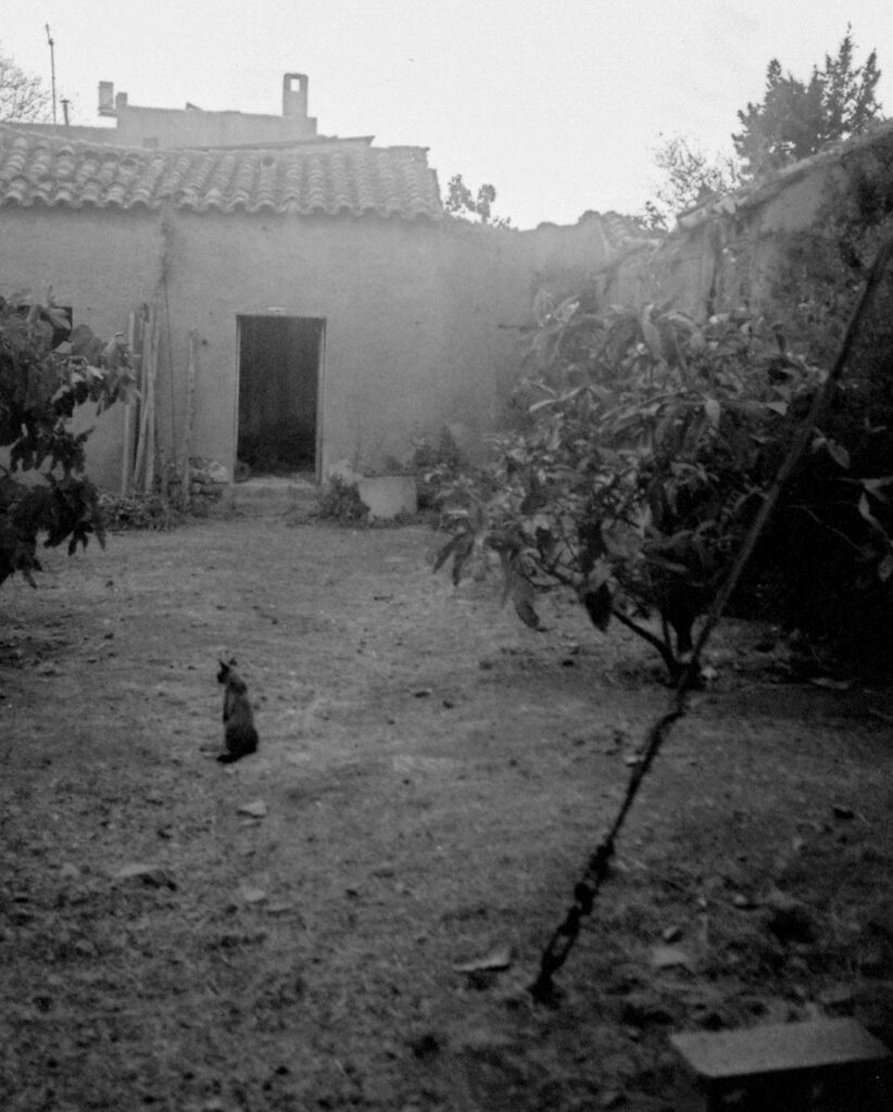 Deelo – My bits & Bobs